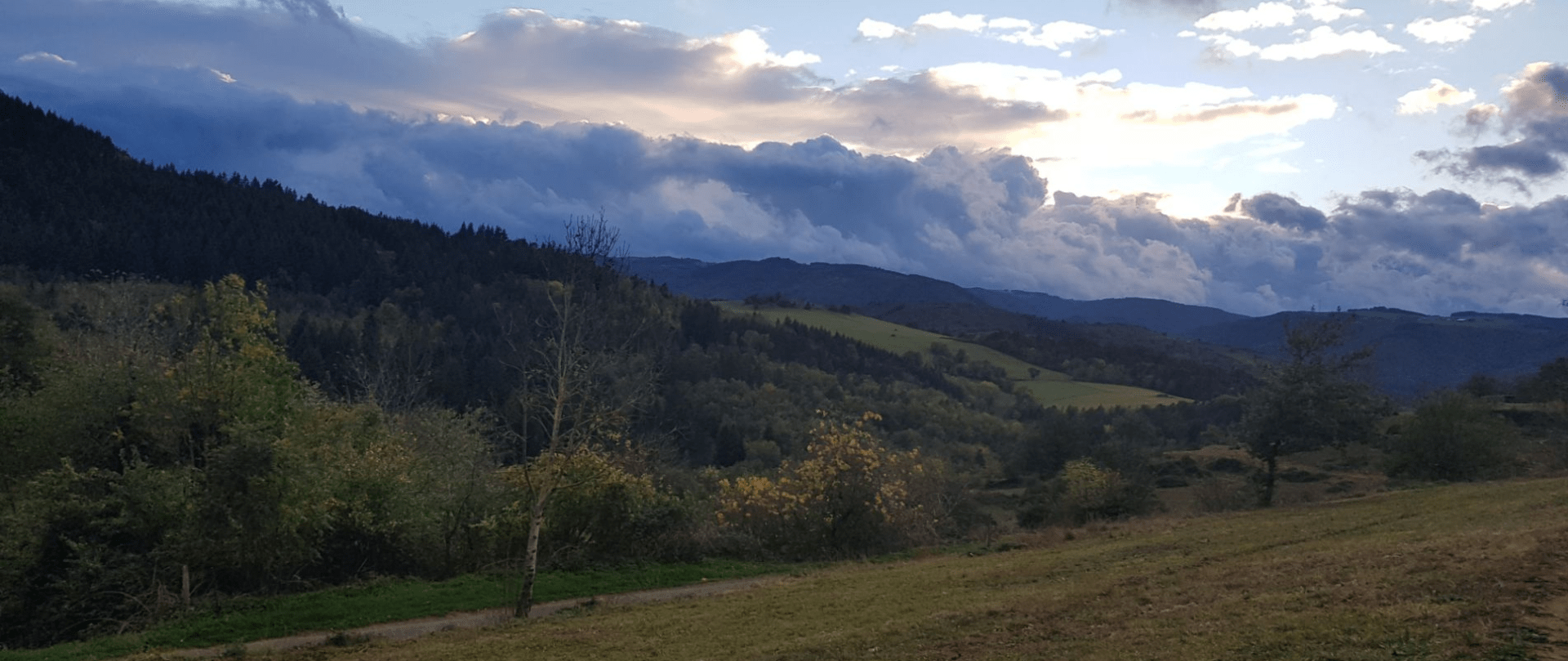 Galerie - La Pension du Dragon